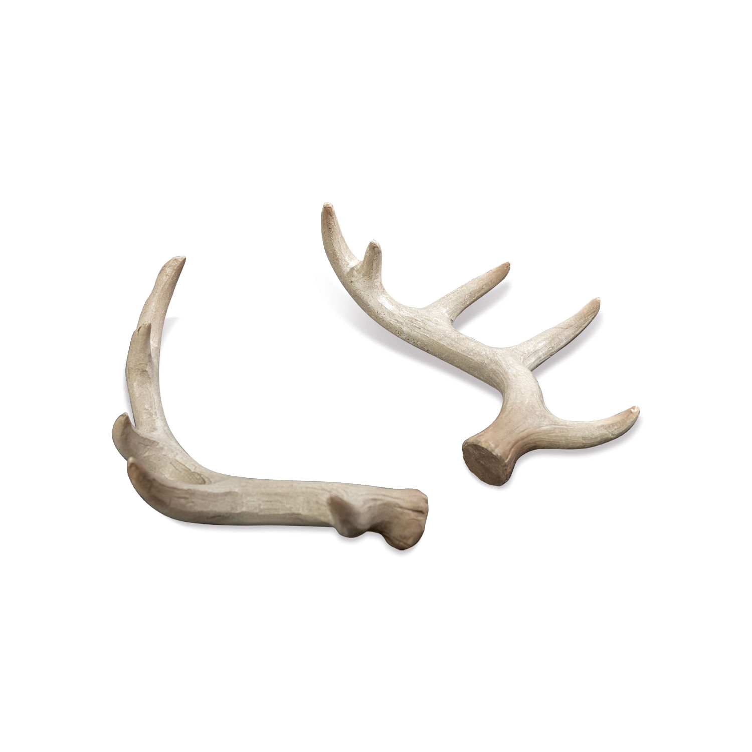 Set de cuernos reno | Puntos Colombia